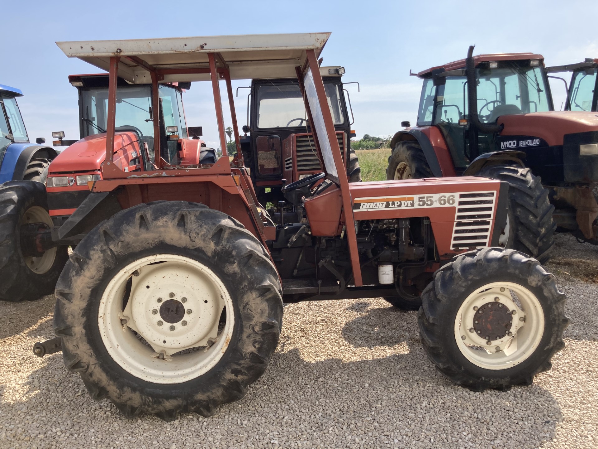 Fiat 55-66 DT LP - Pacini Macchine Agricole